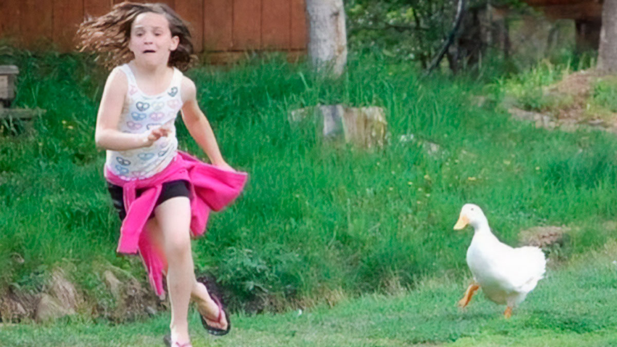 “Life Has No Meaning”: 89 Deep And Funny Memes That Might Either Cure Your Existential Crisis Or ...