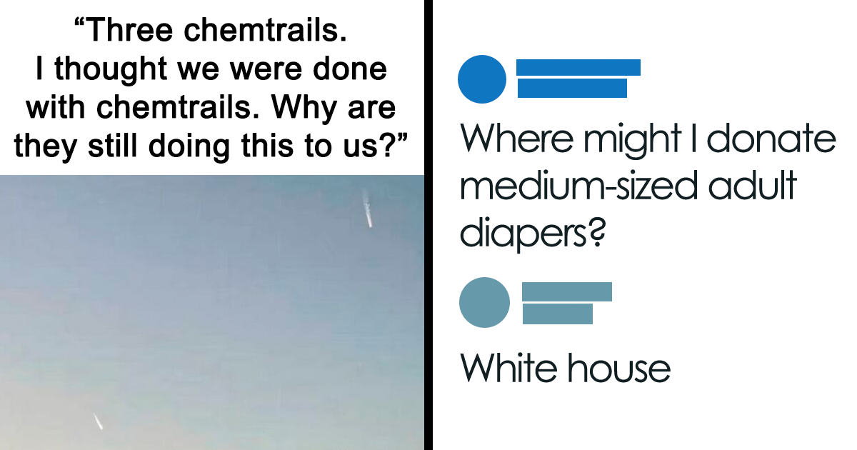 “If I Were President”: 83 Neighbors Who Wrote The Most Absurd, Chaotic ...