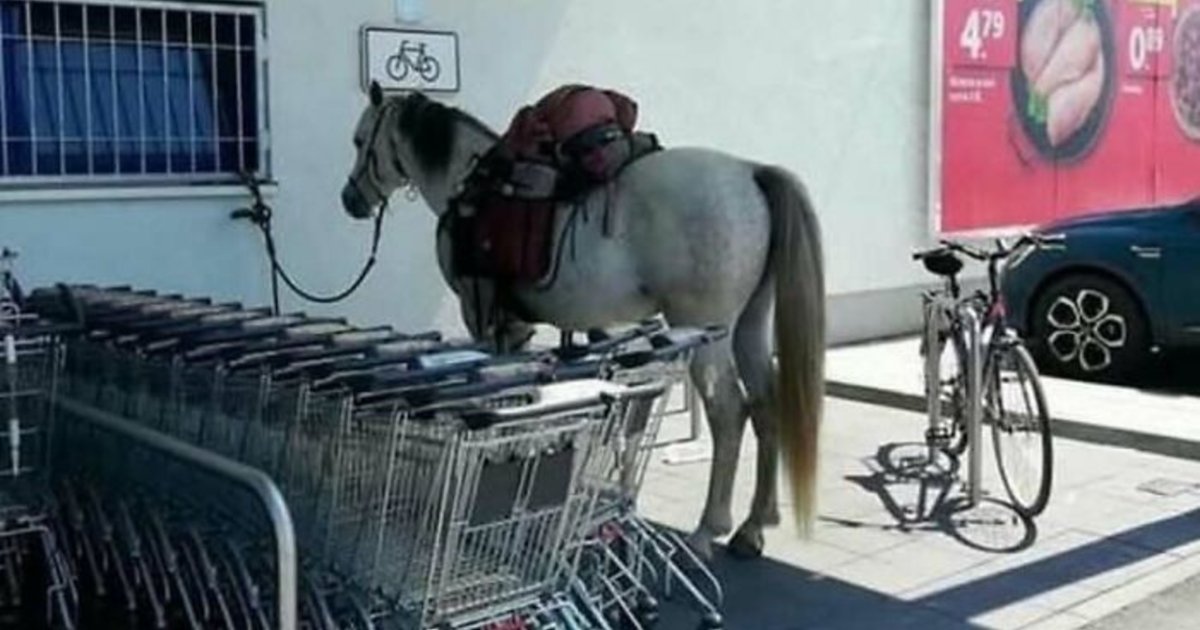79 Cursed Photos That Make Absolutely Zero Sense But Live Rent‑Free In ...