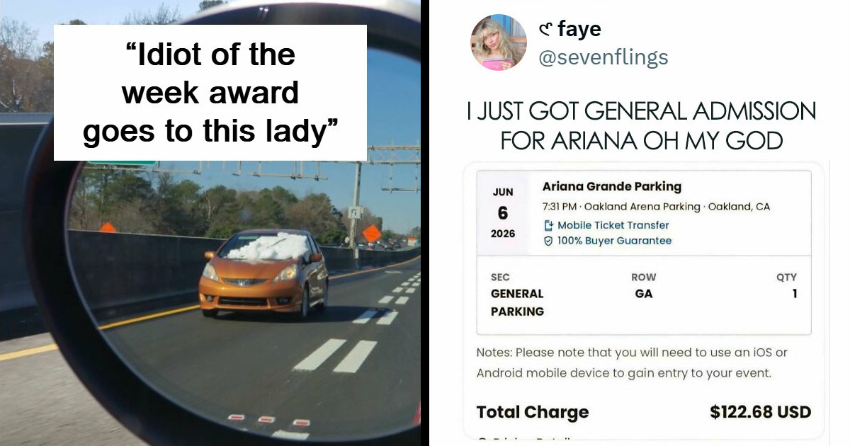 “Love Her Confidence”: 41 Times People Were So Clueless It’s Impressive ...