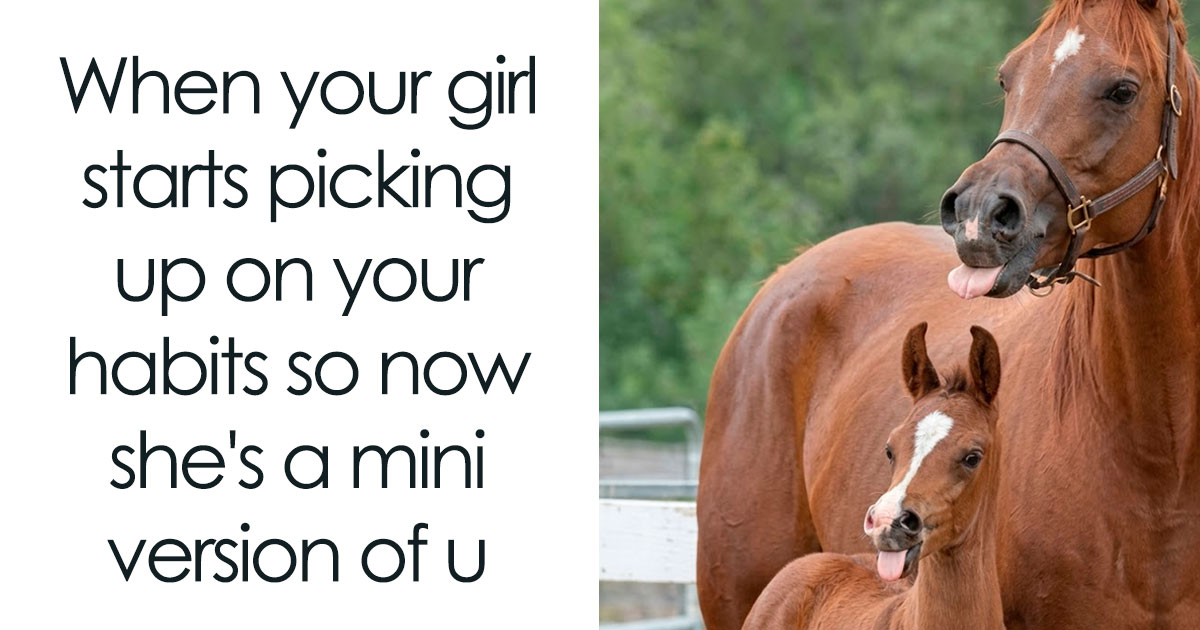 67 Cute Relationship Memes That Might Make Singles Slightly Bitter ...