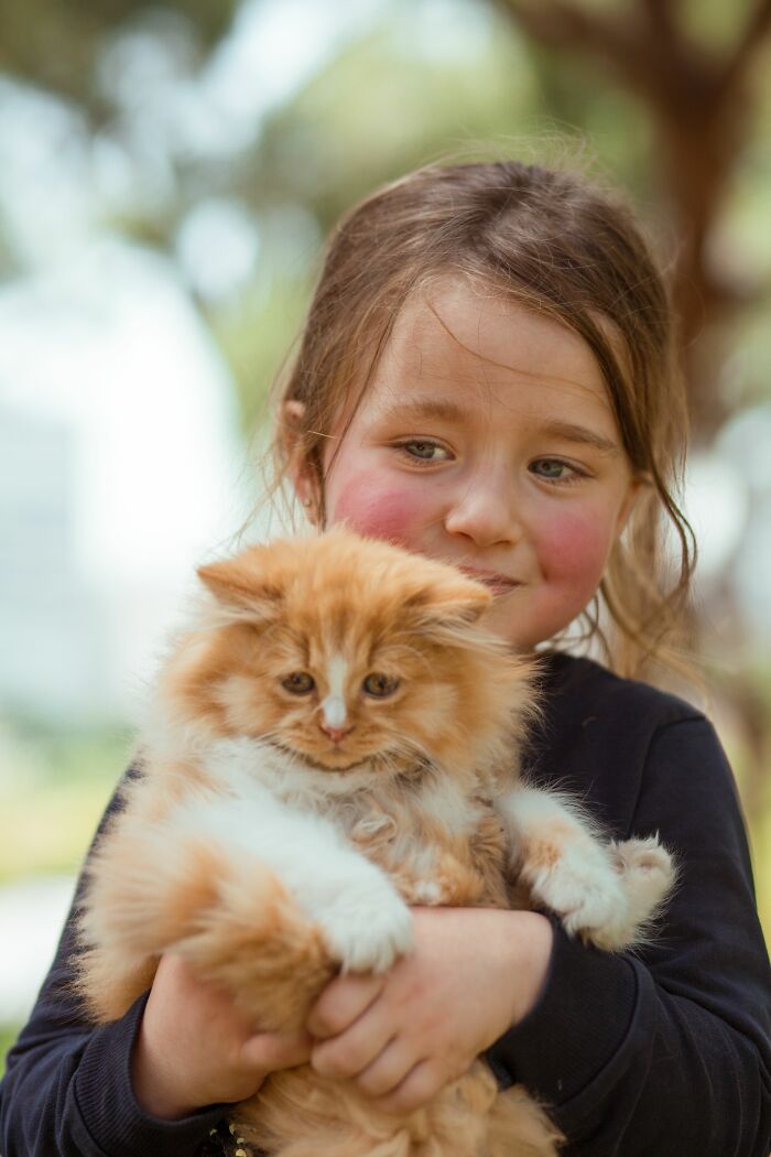 17 Common Cat Myths That An Animal Behavior Expert Finally Debunks ...