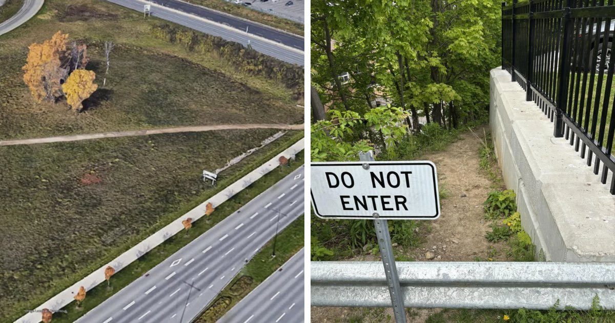 75 "Desire Paths" That Show Human Stubbornness In The Best Way Possible ...
