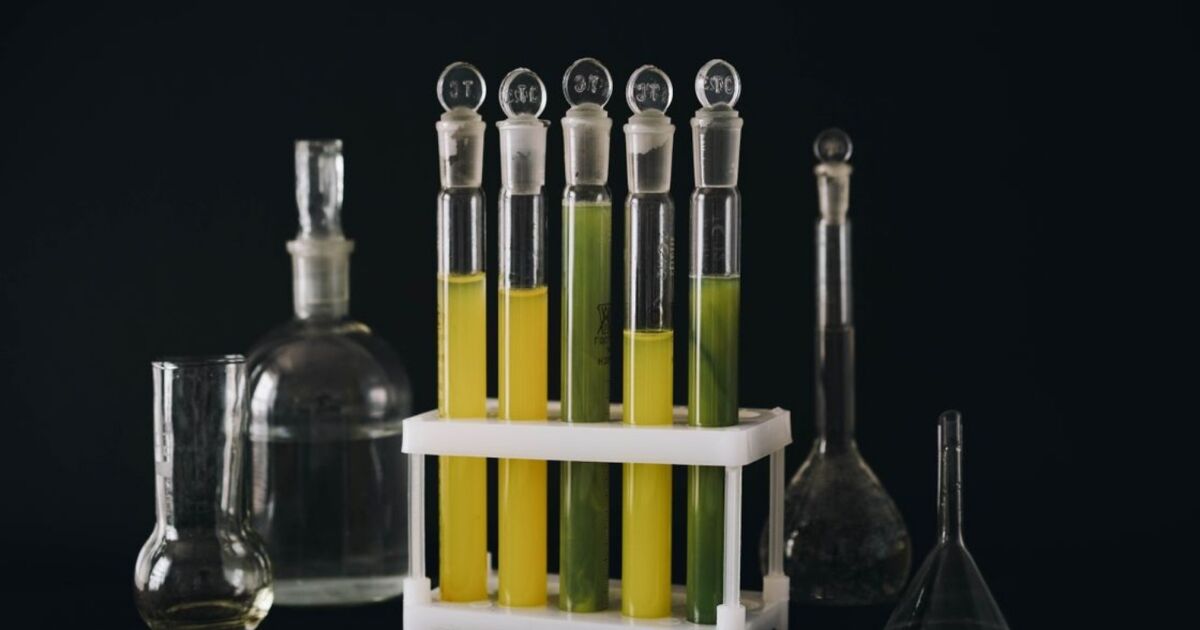 “Are You A Lab Rat?": Challenge Your Mind With These 20 Science ...
