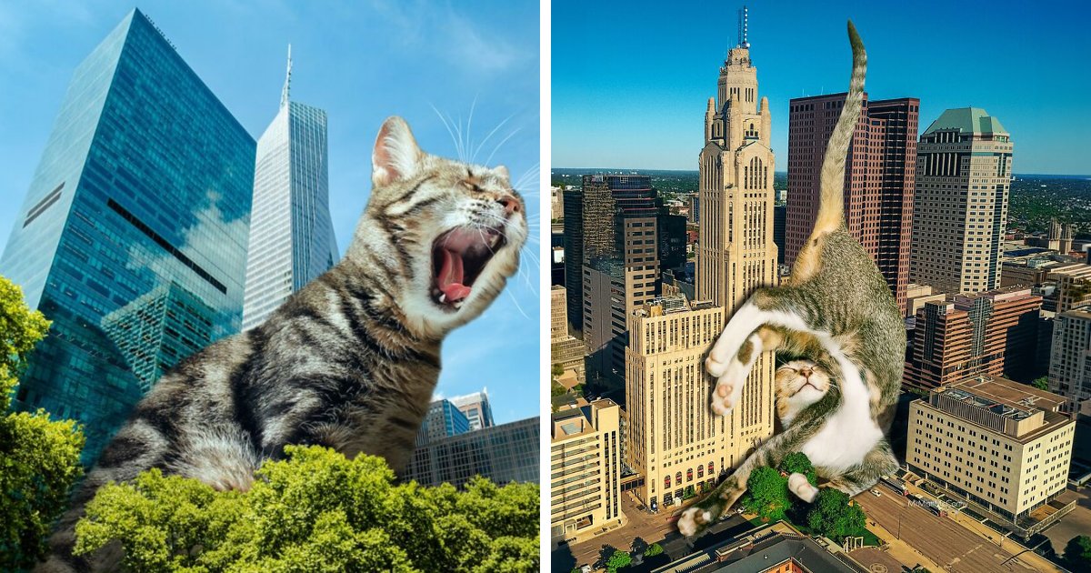 30 Surreal Digital Collages Where A World Is Dominated By Giant Cats ...