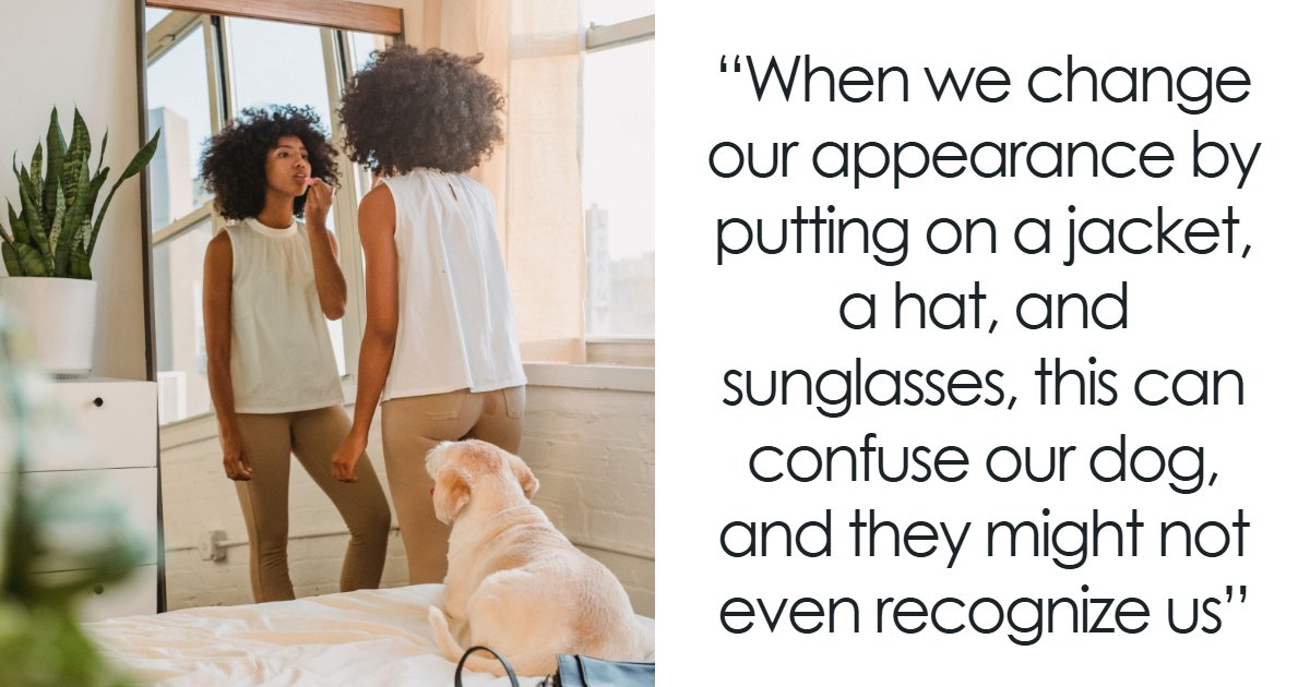 18 Human Habits That Confuse Dogs The Most, According To An Animal ...