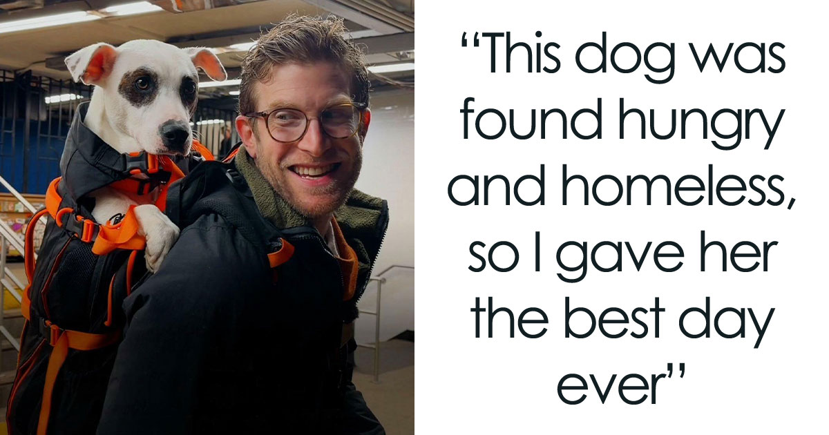 A Man Is Taking Shelter Dogs On Adventures Through New York City To ...